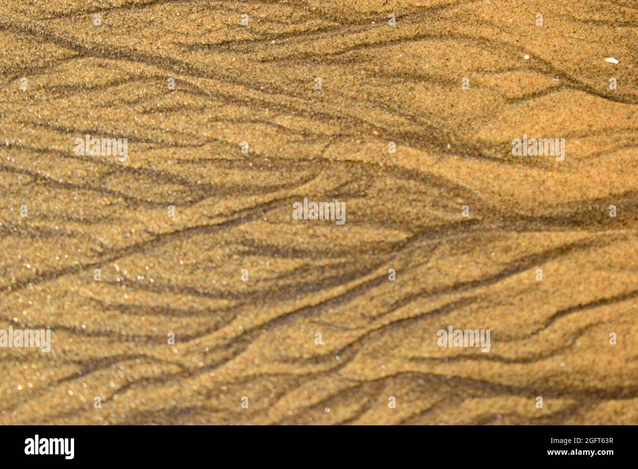 Beach Sand Beautiful Pattern Texture Design Yellow background Stock ...