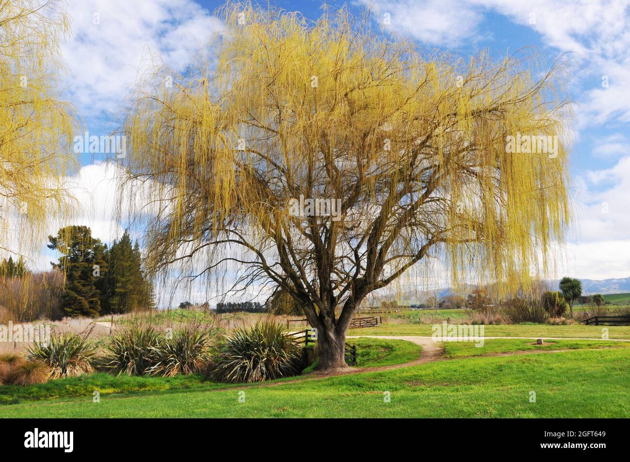 Culverden domain hi-res stock photography and images - Alamy