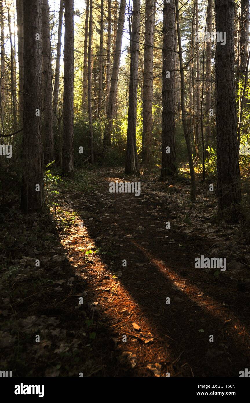 Light spots on floor in hi-res stock photography and images - Alamy