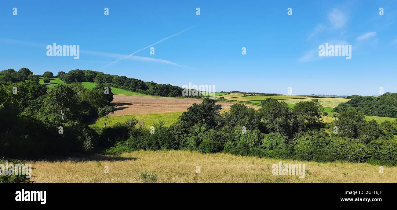 Mesmerizing landscape view with surrounding vegetation on a sunny day ...