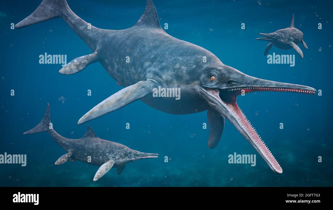 Ichthyosaurus large marine reptile carnivore hi-res stock photography ...