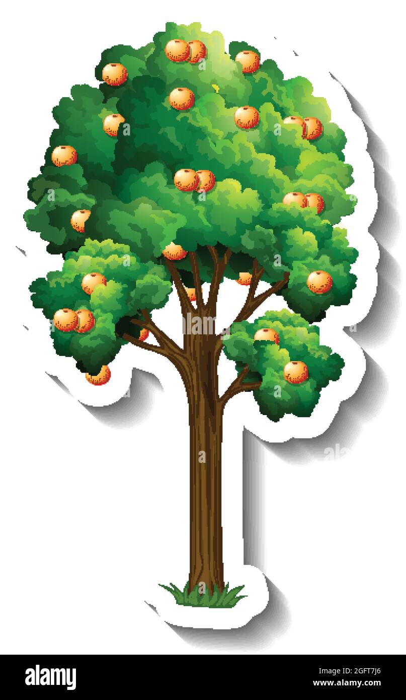 Orange tree sticker on white background illustration Stock Vector Image ...