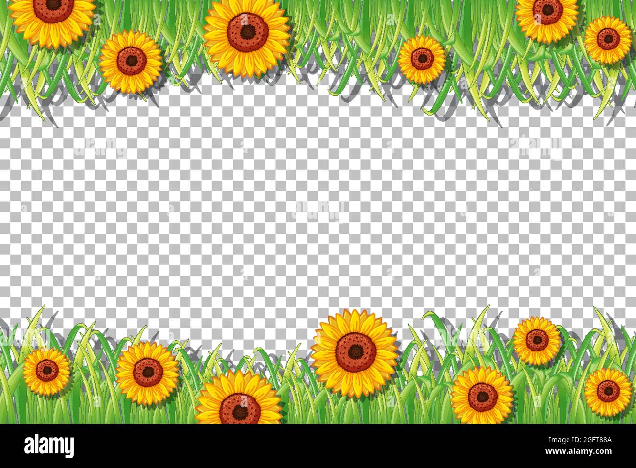 Sunflower frame template on transparent background illustration Stock ...