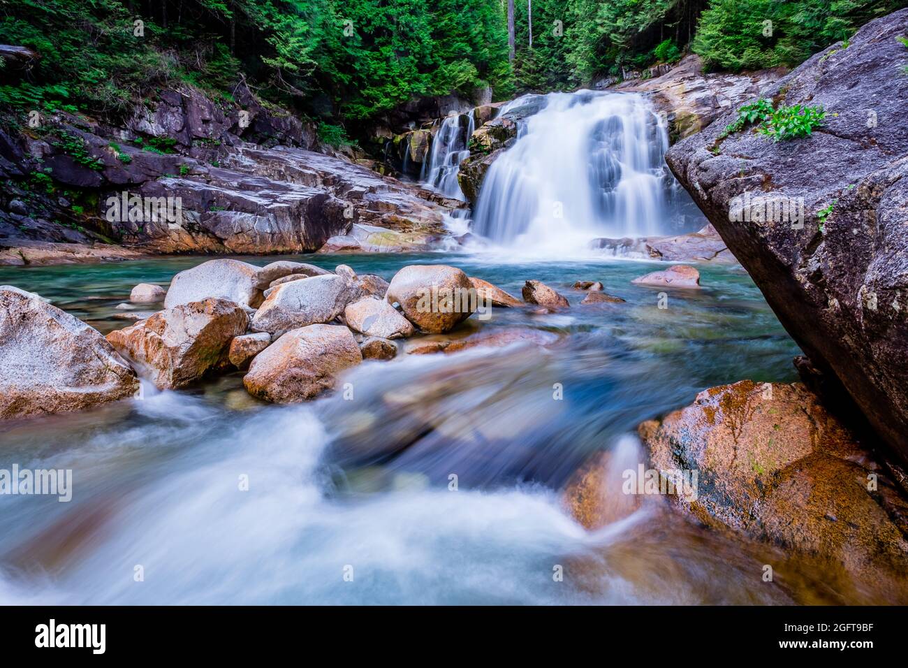 Golden ears provincial park hi-res stock photography and images - Alamy