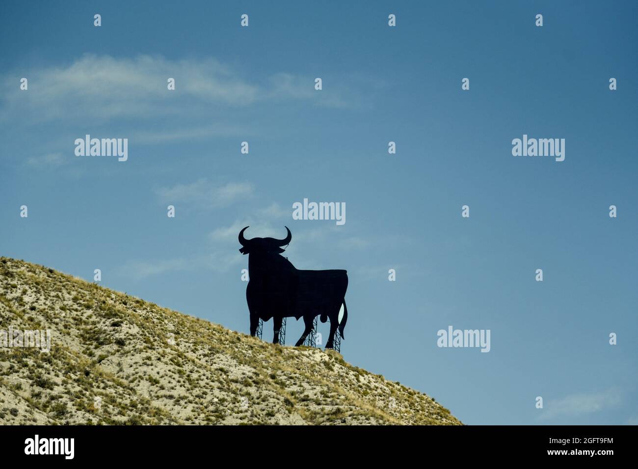 The black silhouette of an Osborne bull on one side of the National ...