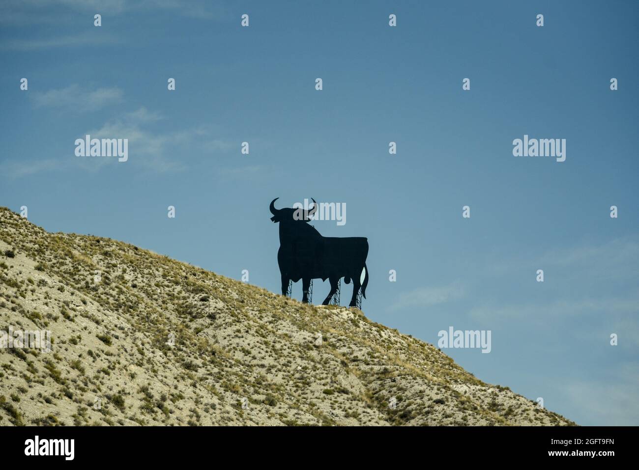The black silhouette of an Osborne bull on one side of the National ...