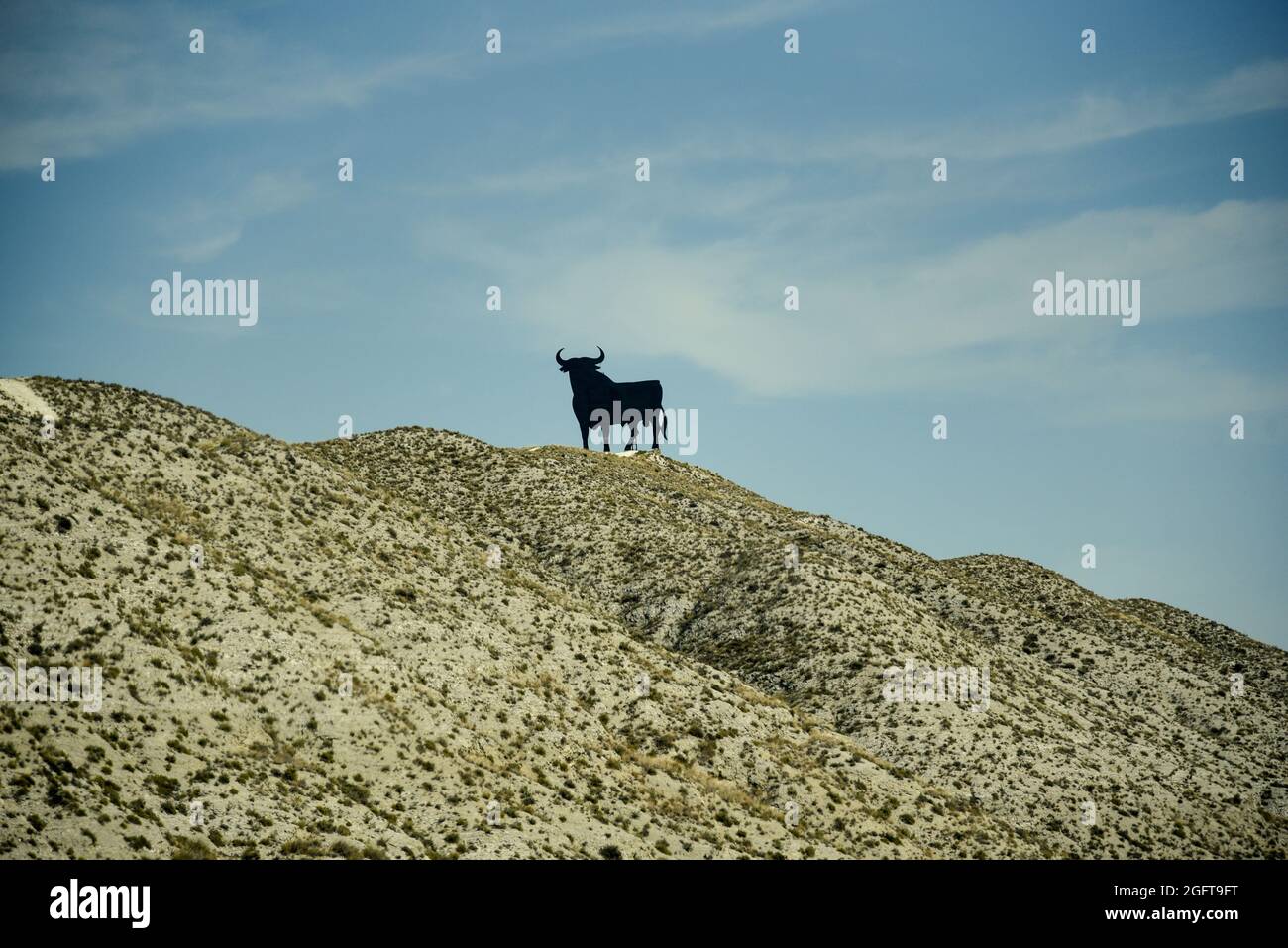 The black silhouette of an Osborne bull on one side of the National ...
