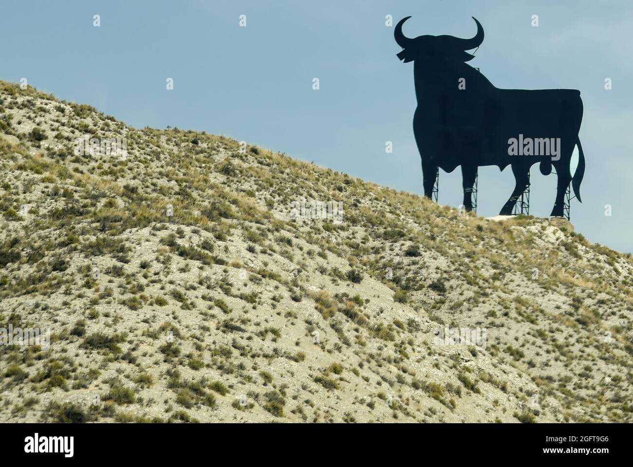 The black silhouette of an Osborne bull on one side of the National ...