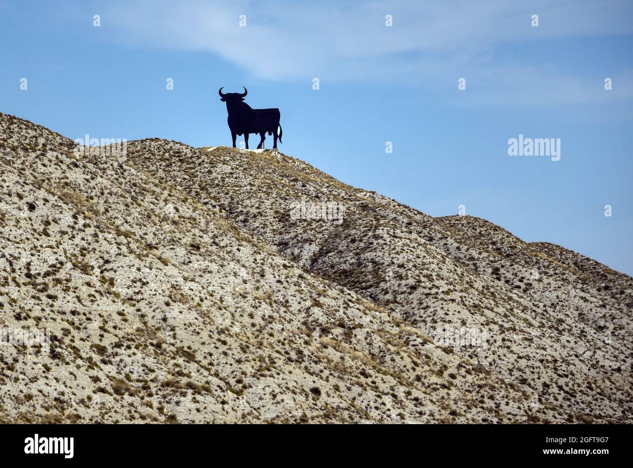 The black silhouette of an Osborne bull on one side of the National ...