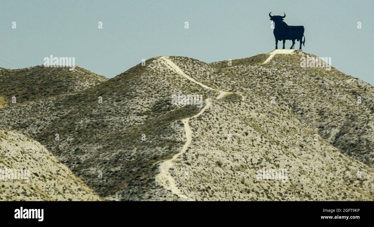 The black silhouette of an Osborne bull on one side of the National ...