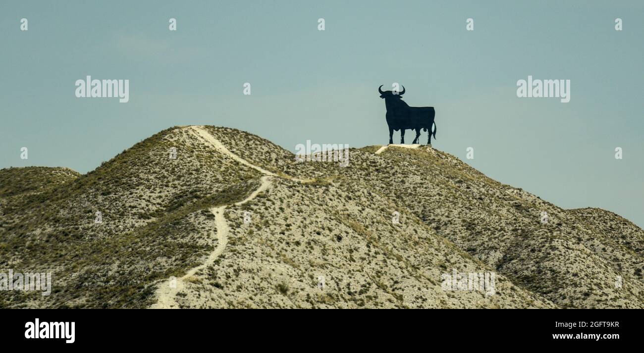 The black silhouette of an Osborne bull on one side of the National ...