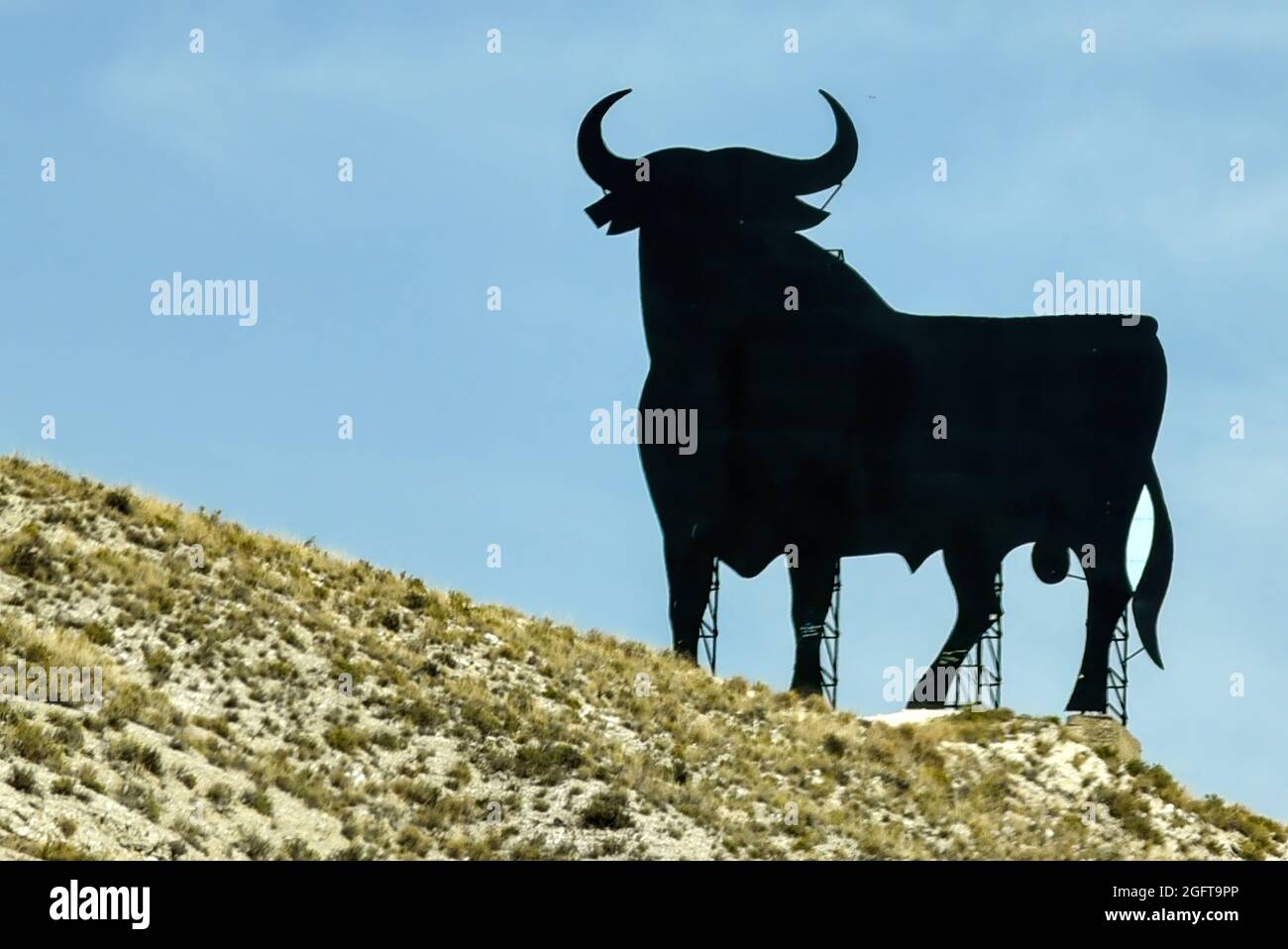 The black silhouette of an Osborne bull on one side of the National ...