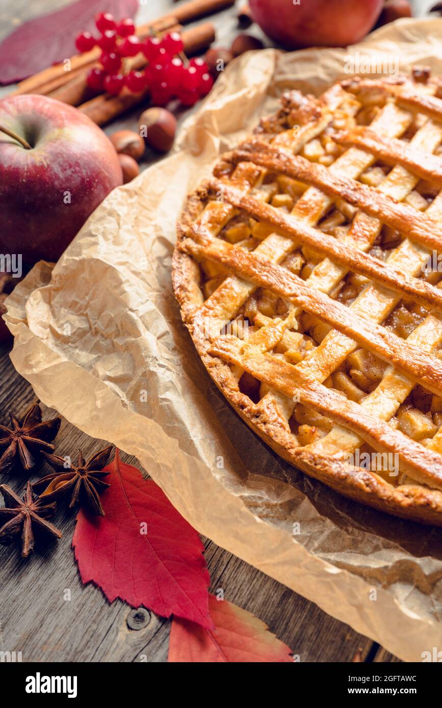 Freshly baked autumn apple pie with cinnamon. Selective focus. Shallow ...