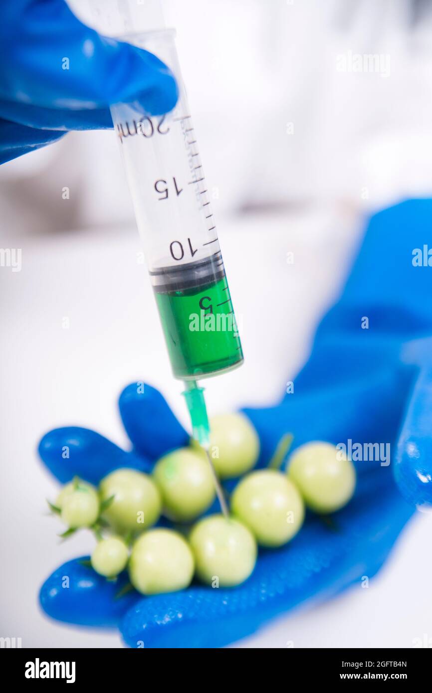 Laboratory stage hi-res stock photography and images - Alamy