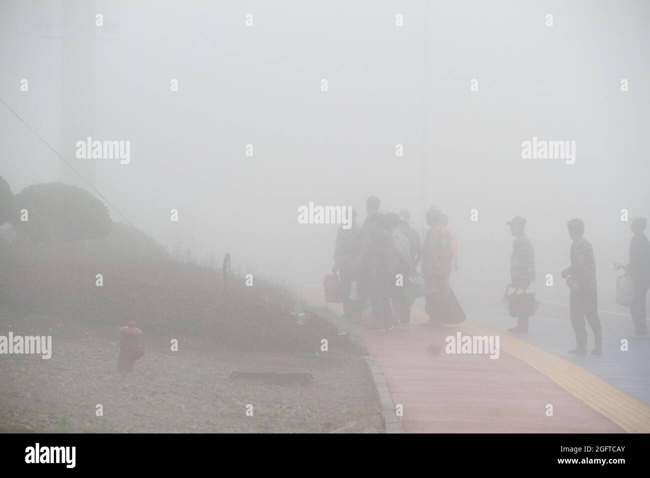 People commute during the foggy weather in Weihai city, east China's ...