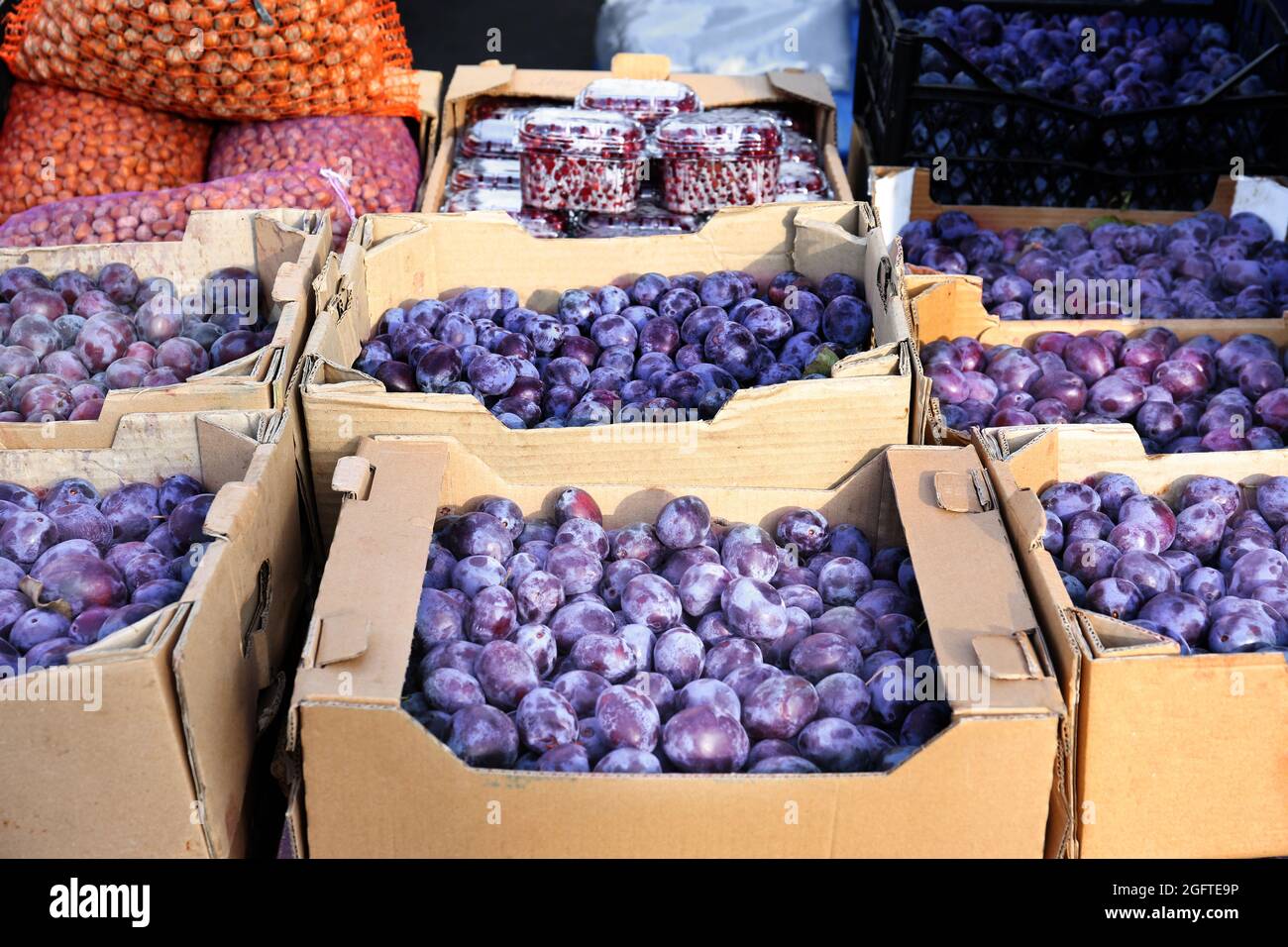 Fresh plums in cardboard boxes on market Stock Photo - Alamy