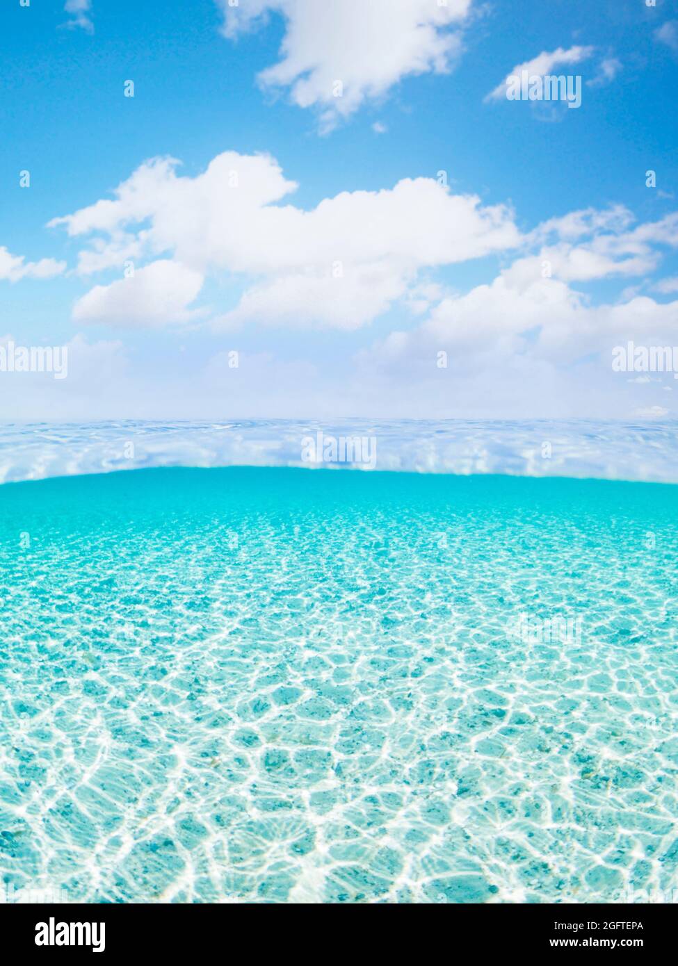 Half Underwater High Resolution Stock Photography and Images - Alamy