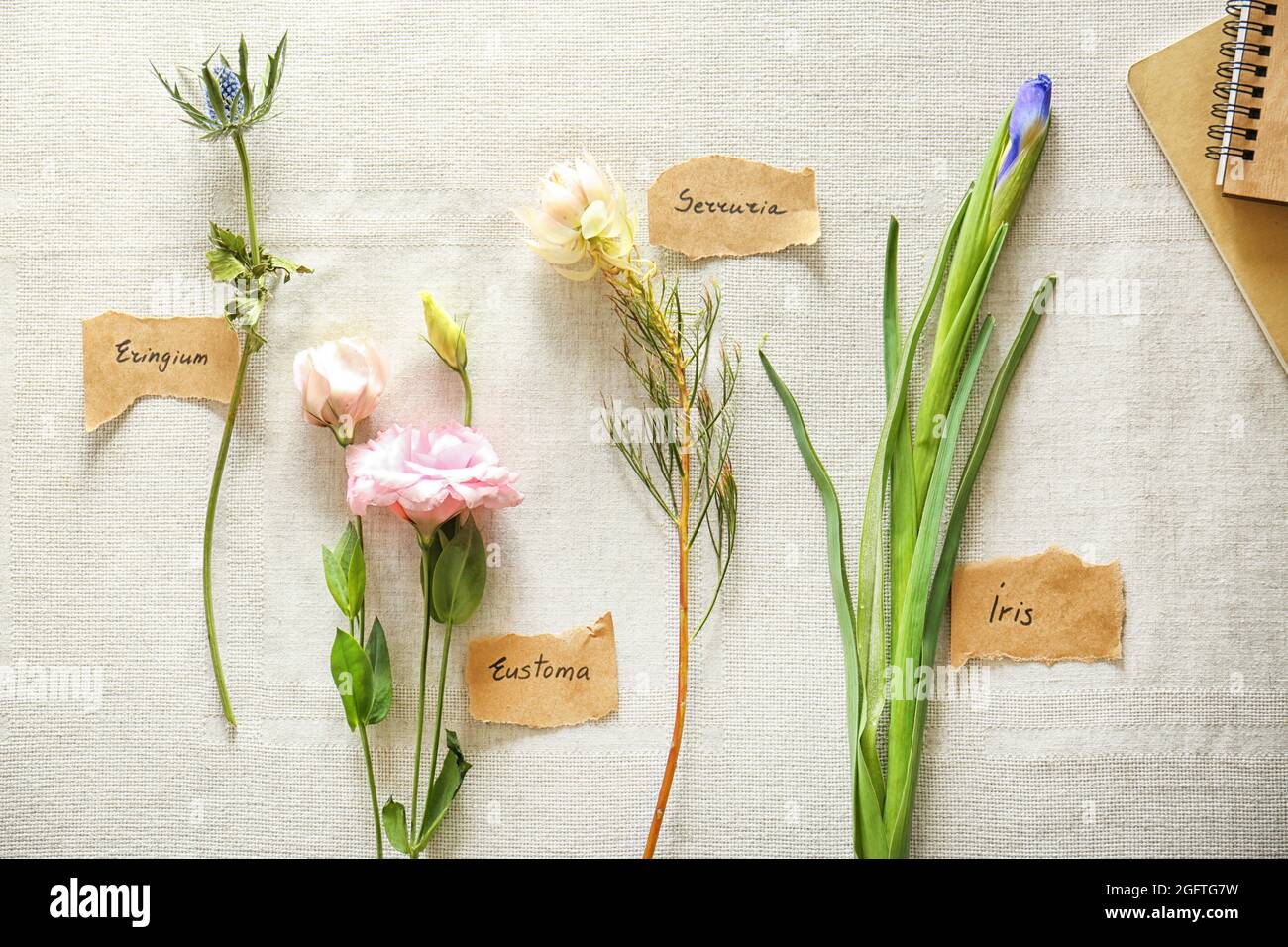 Collection of flowers on textile background Stock Photo - Alamy