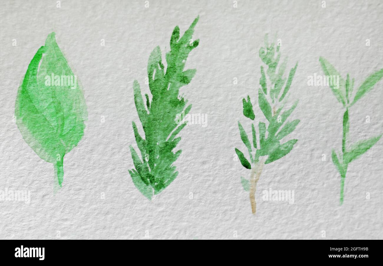 Watercolor painting of leaves on album sheet Stock Photo - Alamy
