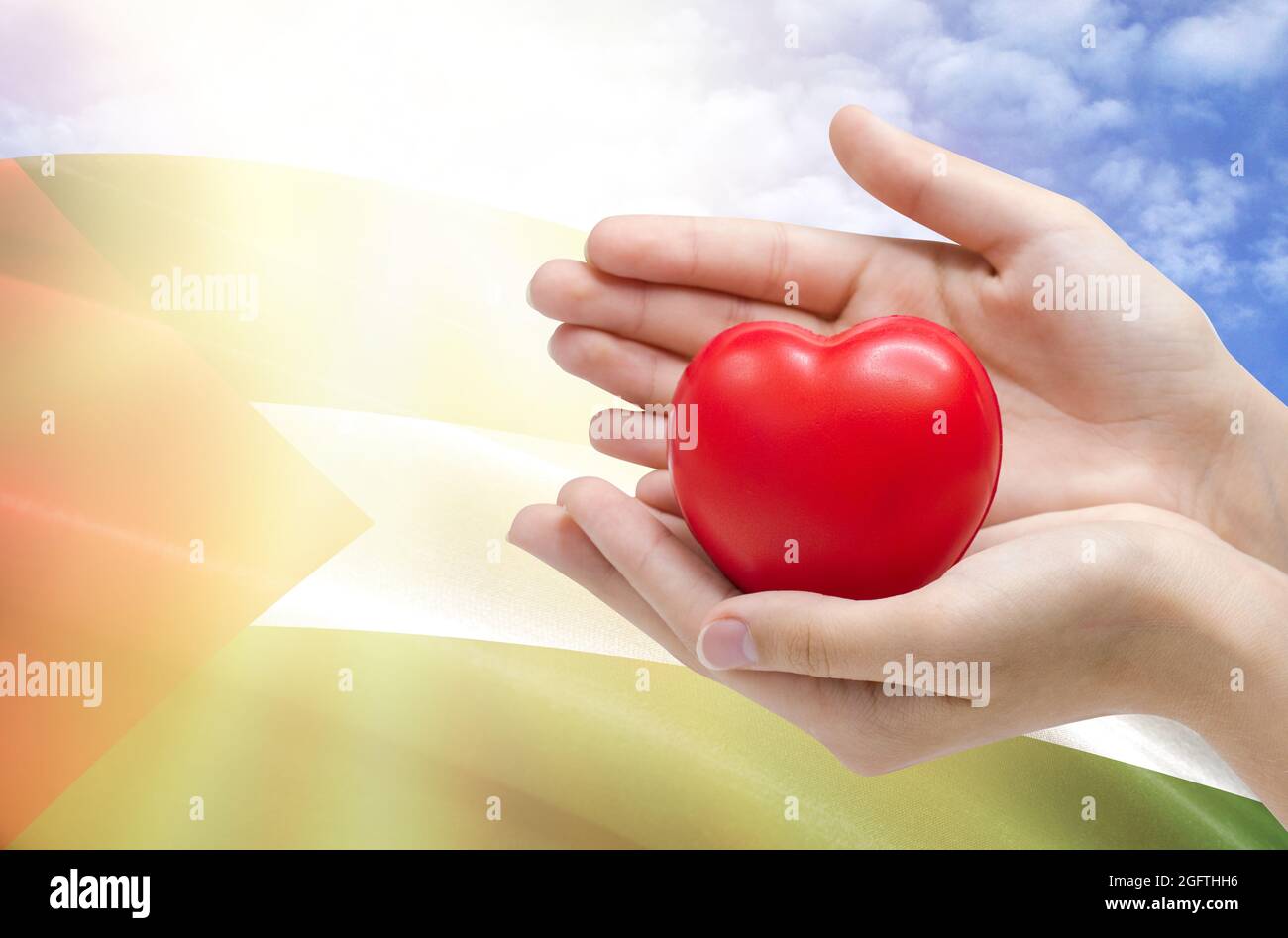 Child's hands hold a heart on the background of the flag of Palestine ...