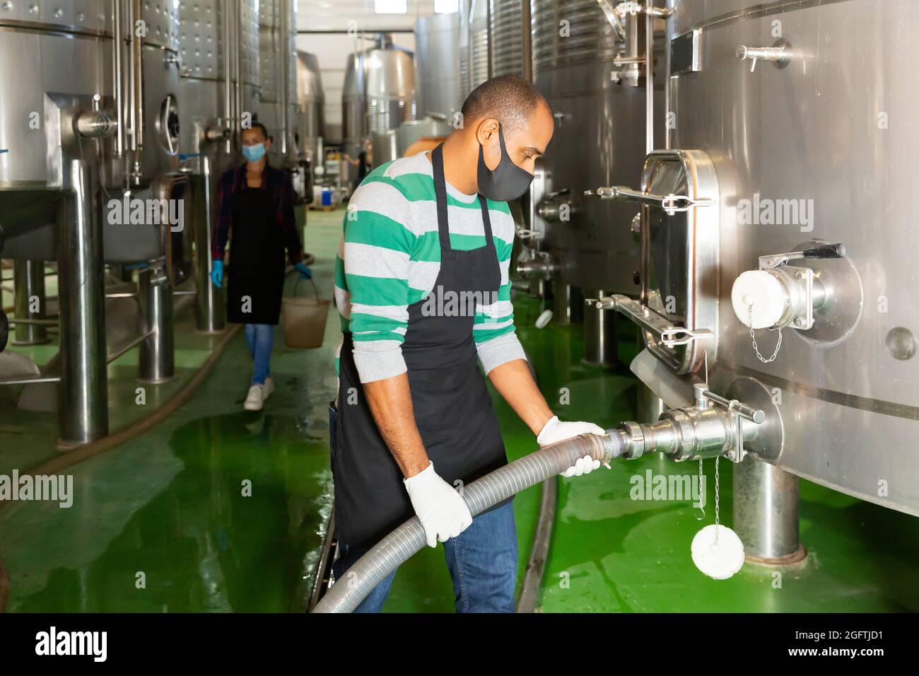 Wine producer controlling production wine, preparing for wine ...