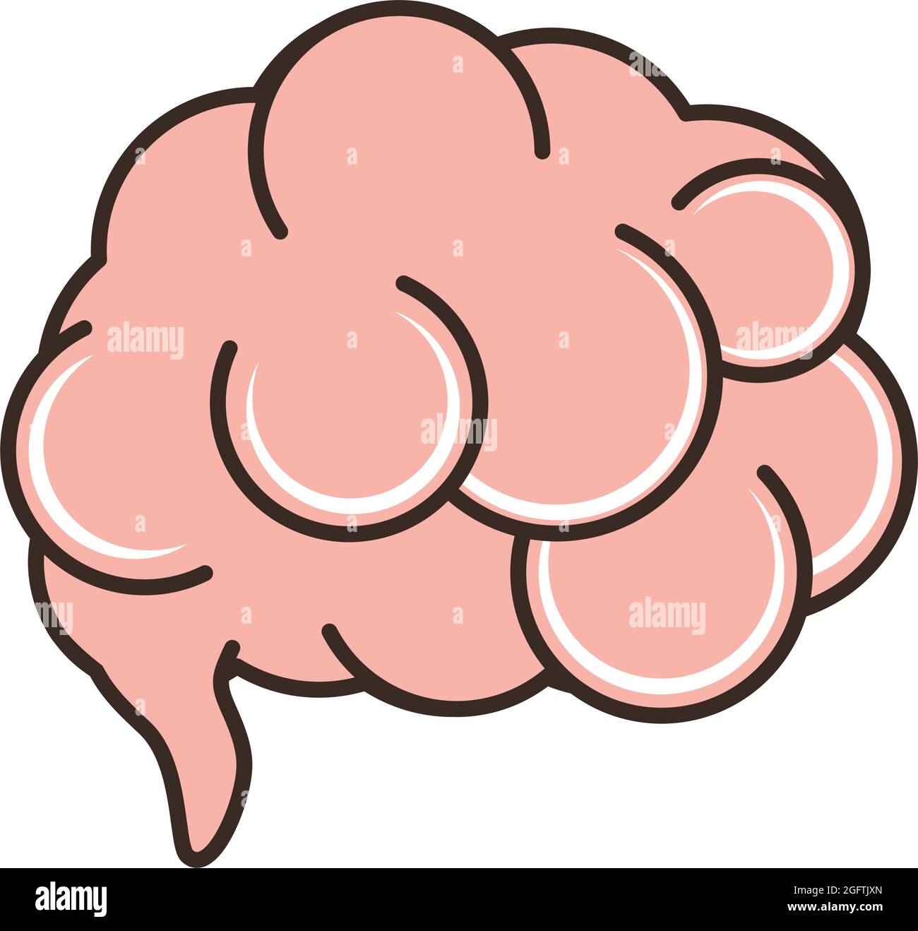 human brain organ Stock Vector Image & Art - Alamy
