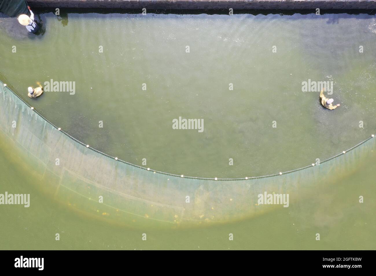 Aerial view of the Shunhe Modern Fishery Industrial Park where ...