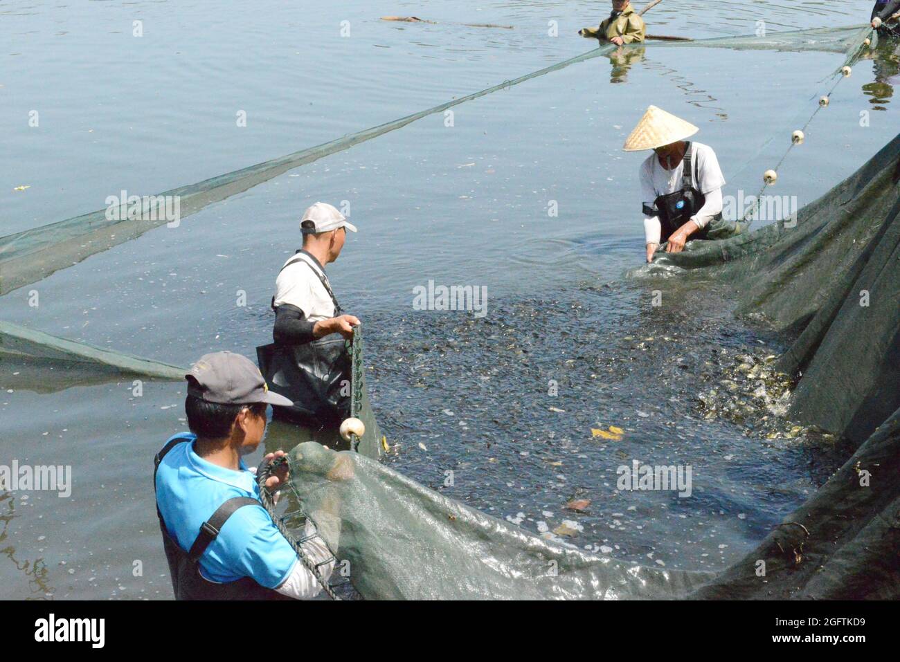 Aerial view of the Shunhe Modern Fishery Industrial Park where ...