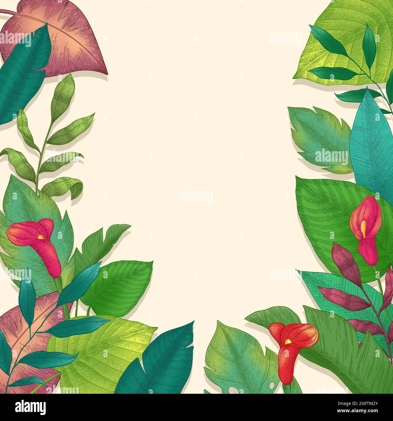 tropical plant frame background Stock Photo - Alamy