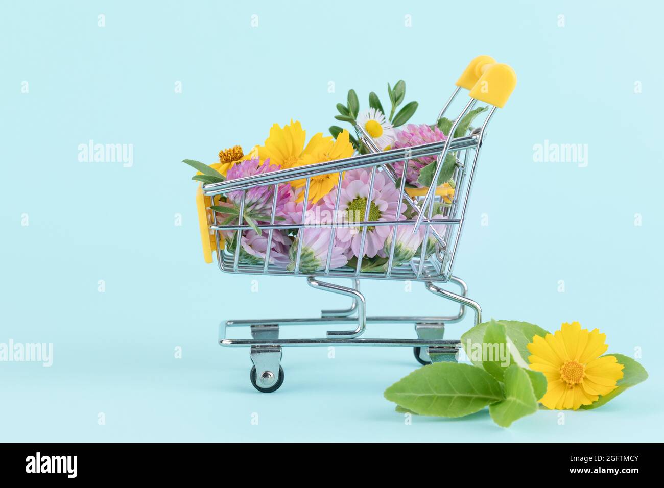 flowers and leaves in miniature cart Stock Photo - Alamy
