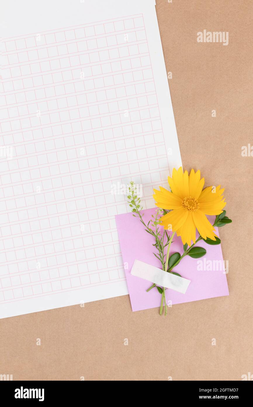 Squared Manuscript Paper High Resolution Stock Photography and Images ...