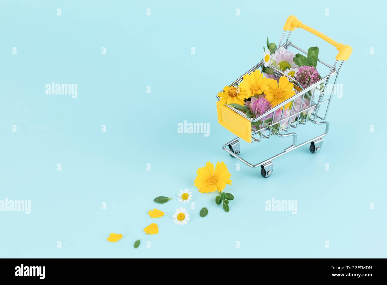 Miniature flower cart hi-res stock photography and images - Alamy