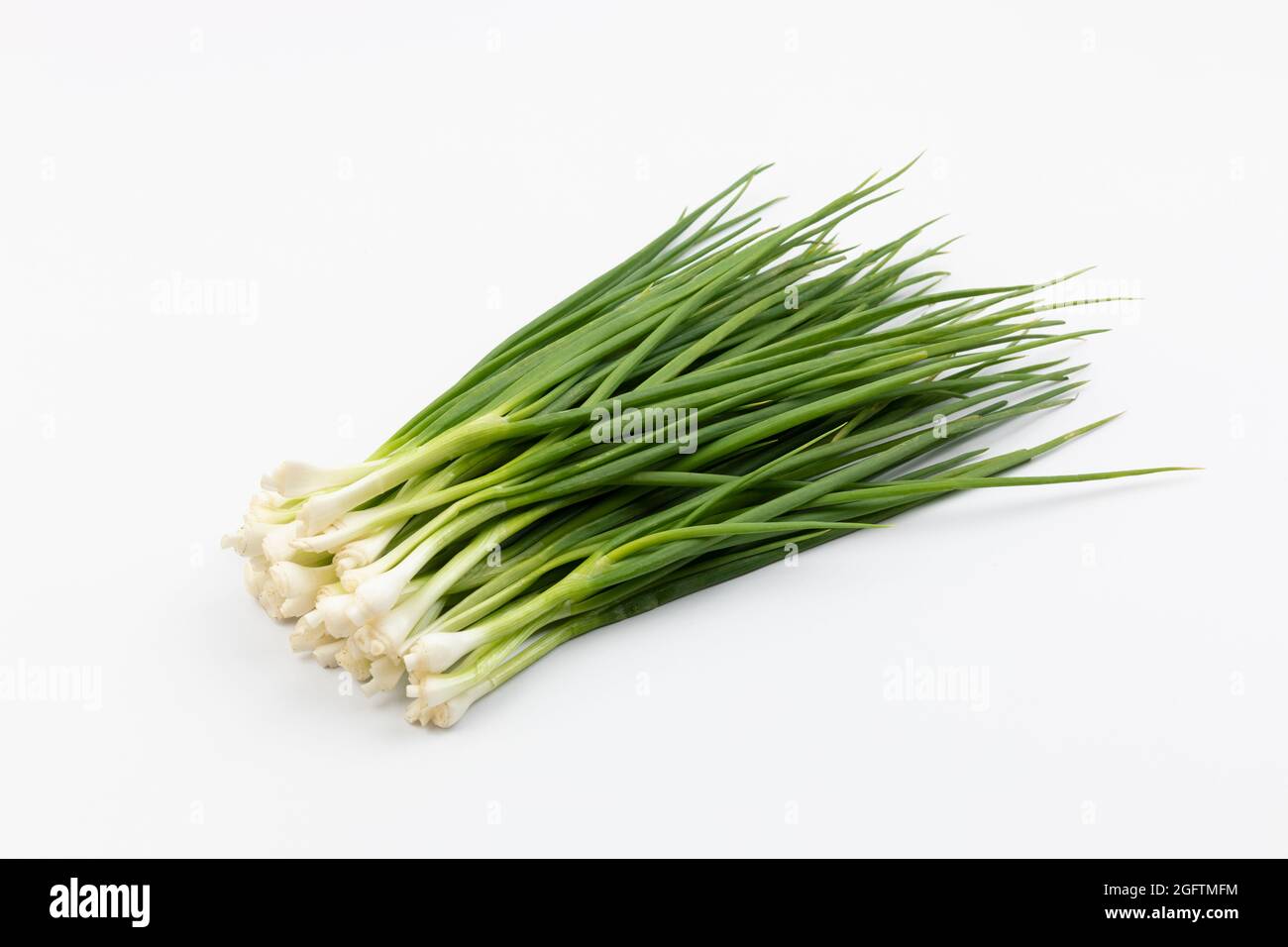 green spring onion, white background Stock Photo - Alamy