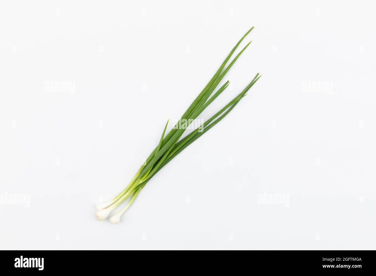green spring onion, white background Stock Photo - Alamy