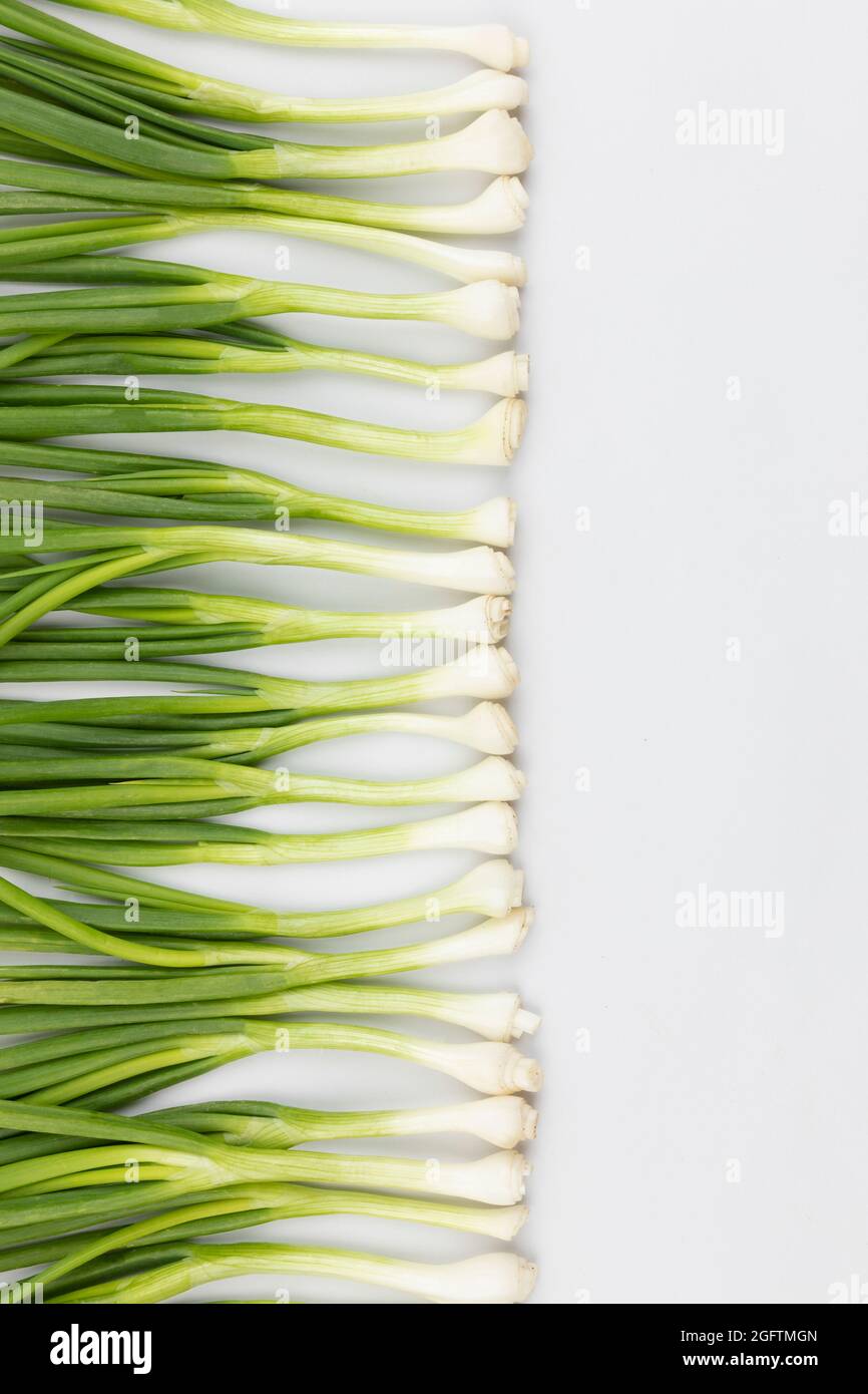 green spring onion, white background Stock Photo - Alamy