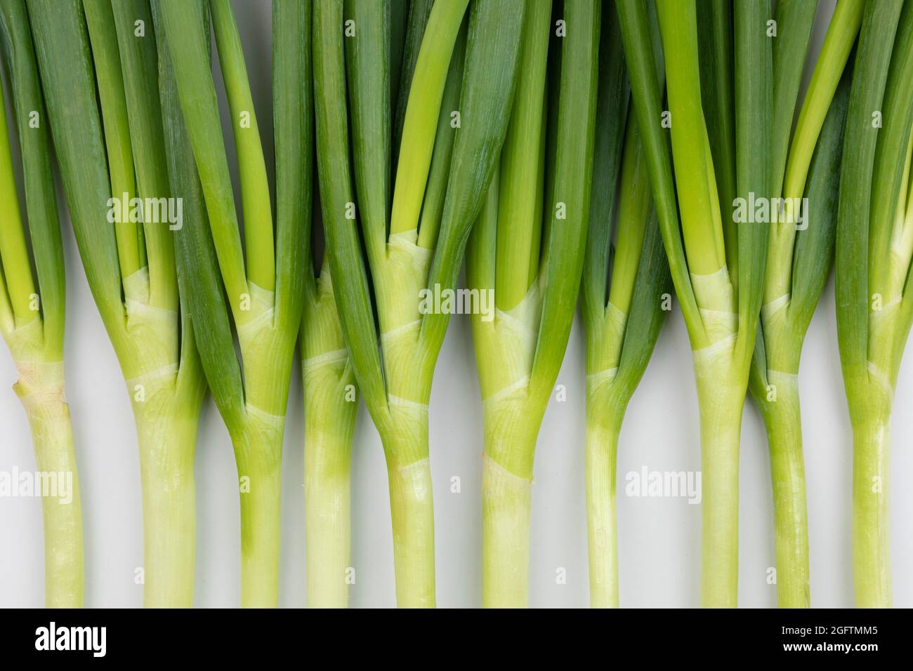 green spring onion, white background Stock Photo - Alamy