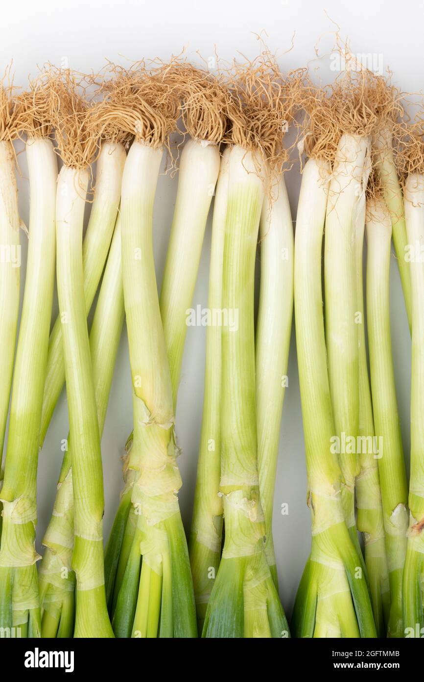 green spring onion, white background Stock Photo - Alamy