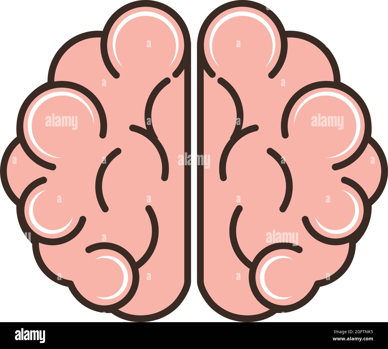 human brain part Stock Vector Image & Art - Alamy