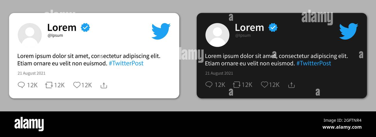 Plantilla De Twitter En Blanco Para Estudiantes