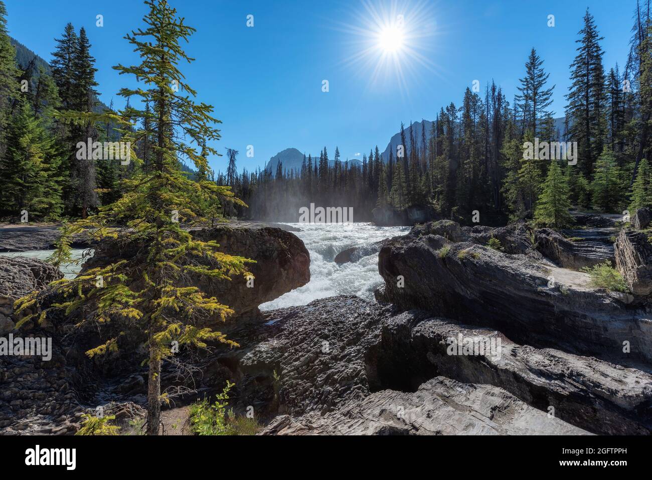 Jasper National Park. Athabasca river in Canadian Rockies, Canada Stock ...