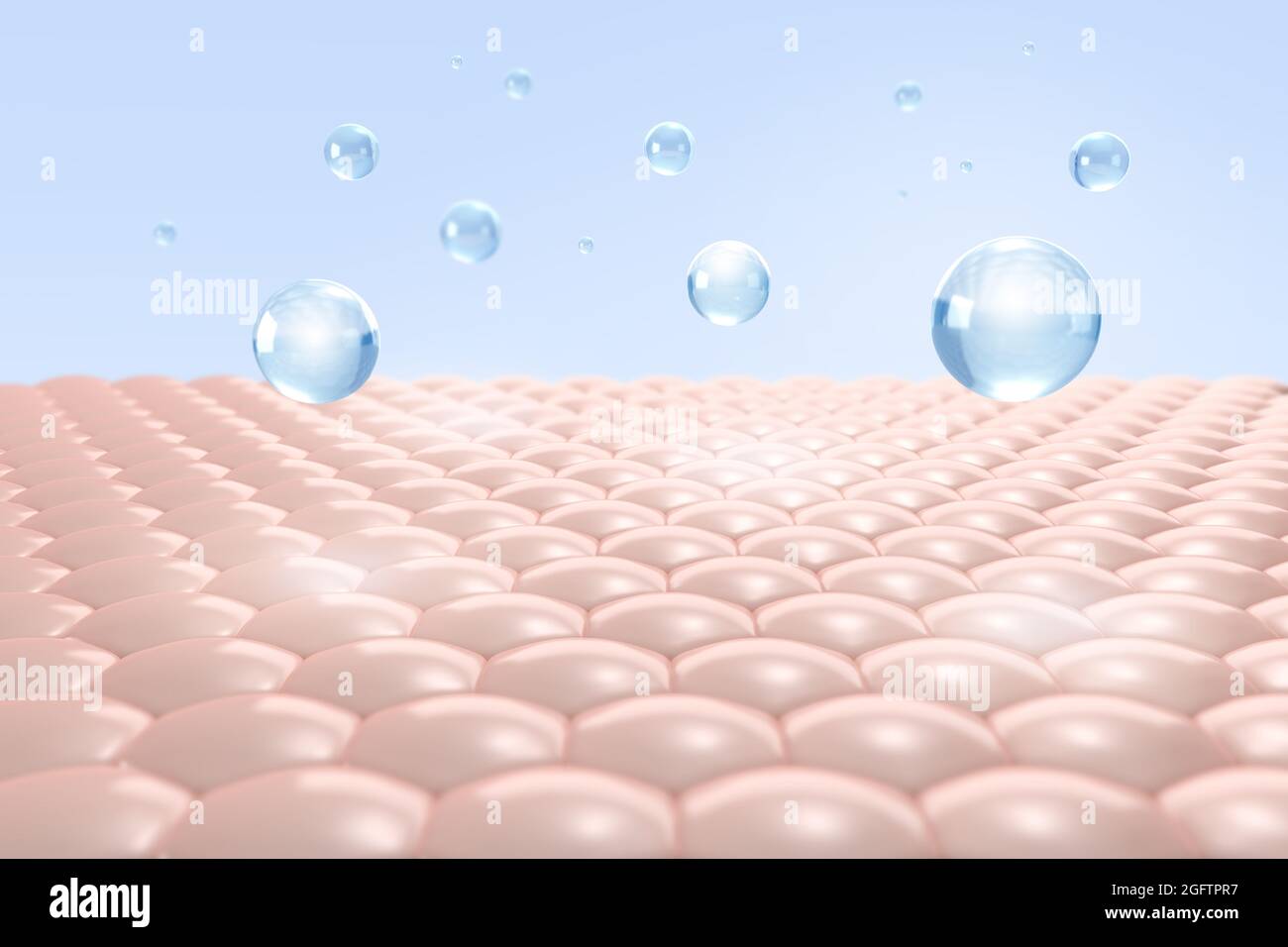 Tissue organization hi-res stock photography and images - Alamy