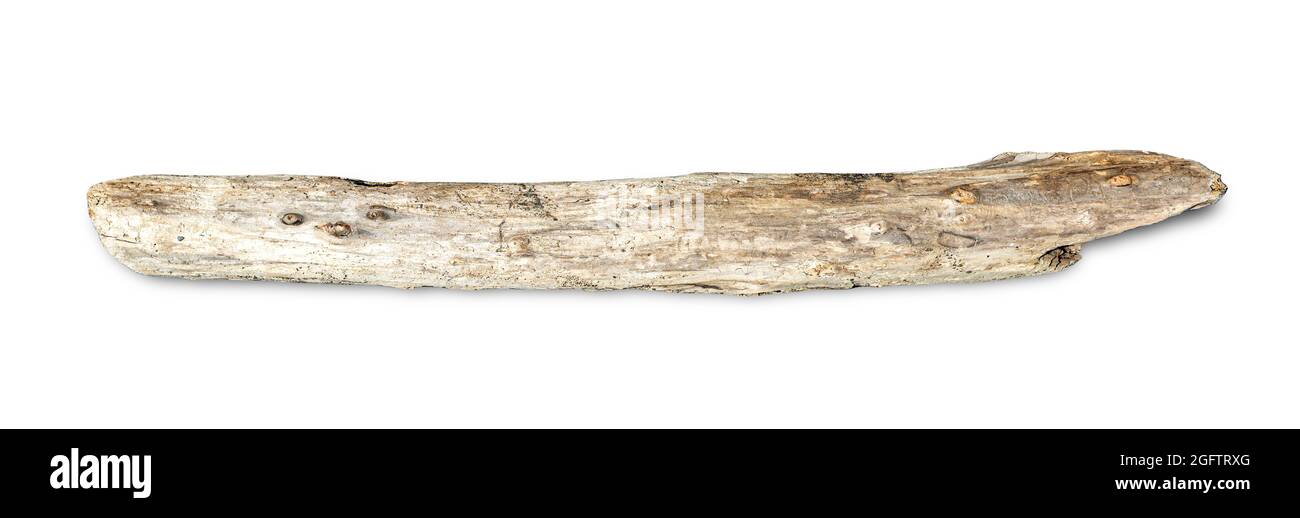 a piece of wood floating in the sea for a long time with clipping path ...