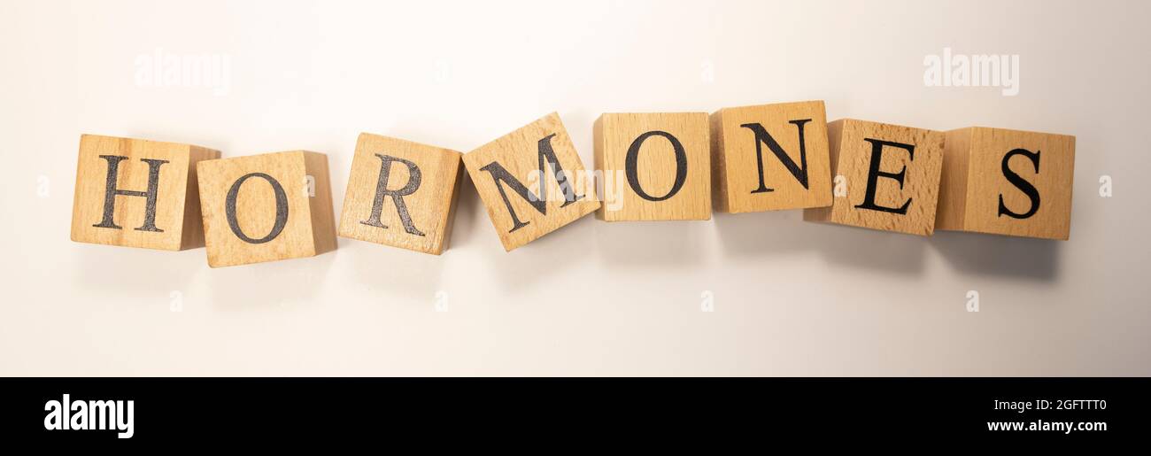 Human hormonal system hi-res stock photography and images - Alamy