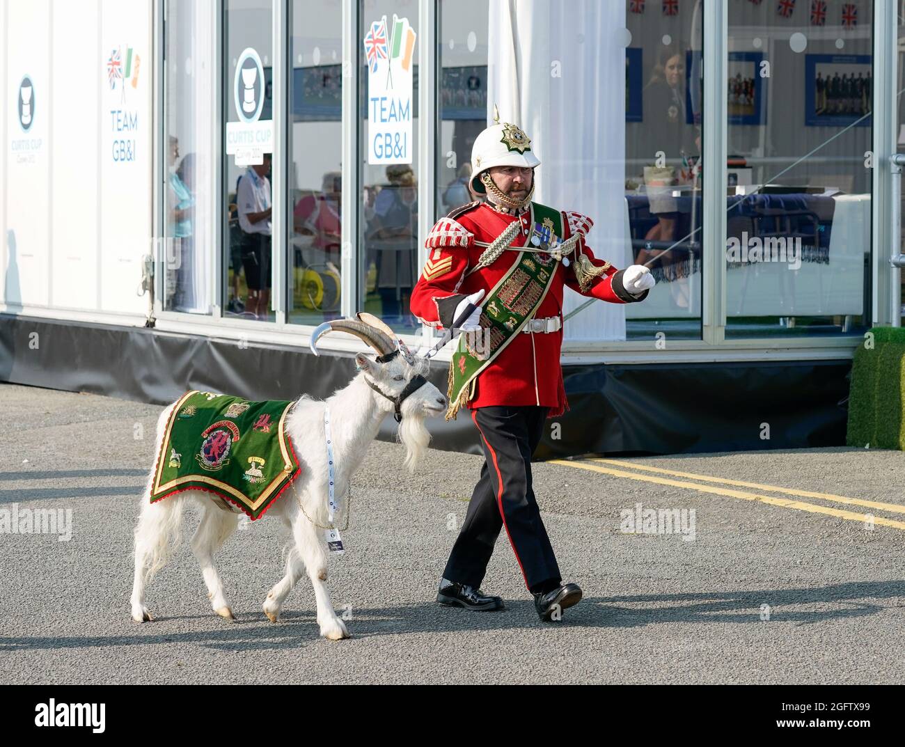 Goat Major Sergeant Mark Jackson marches with The Royal Welsh Regiment ...