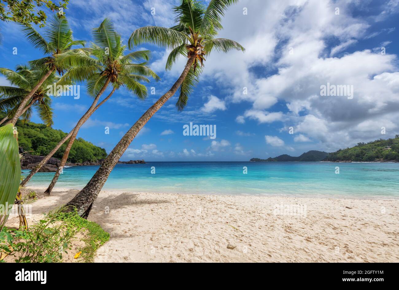 Beautiful tropical beach with coco palms on white sand and blue ocean ...