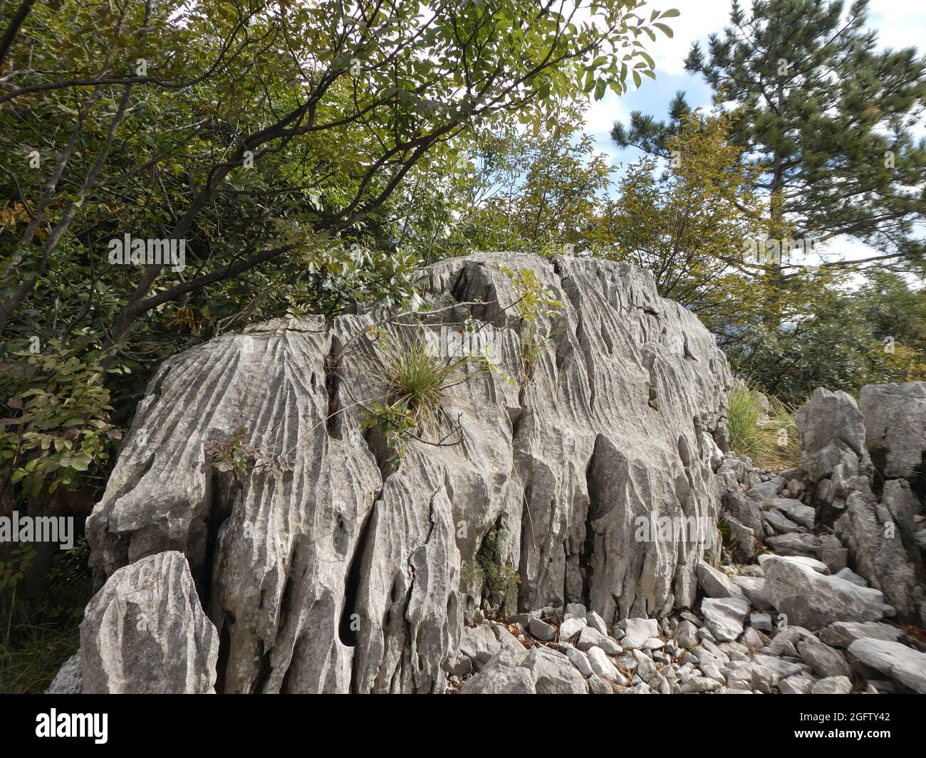 Eroded limestone rock near Monte Colodri Stock Photo - Alamy