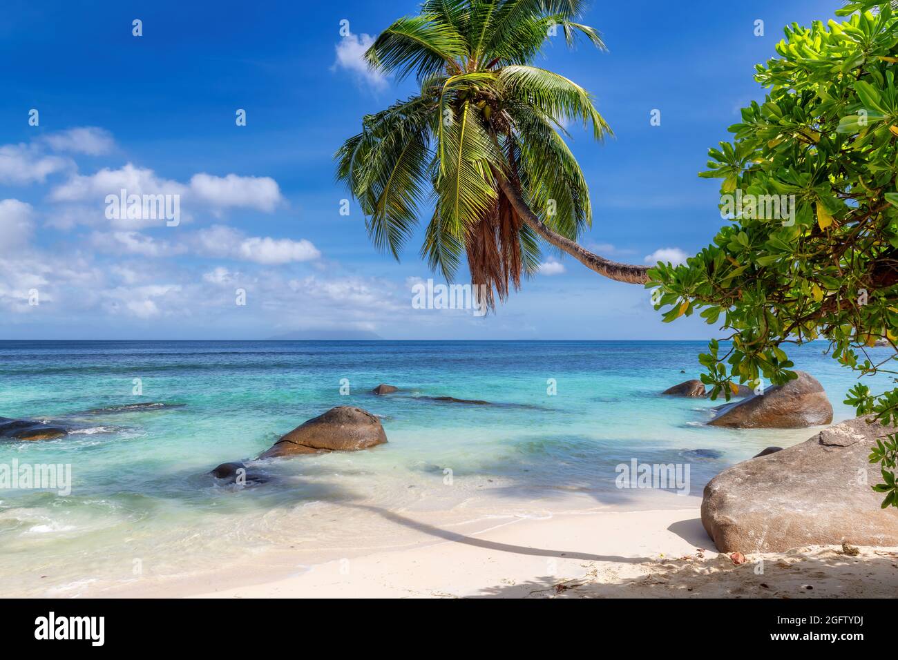 Tropical paradise beach Stock Photo - Alamy