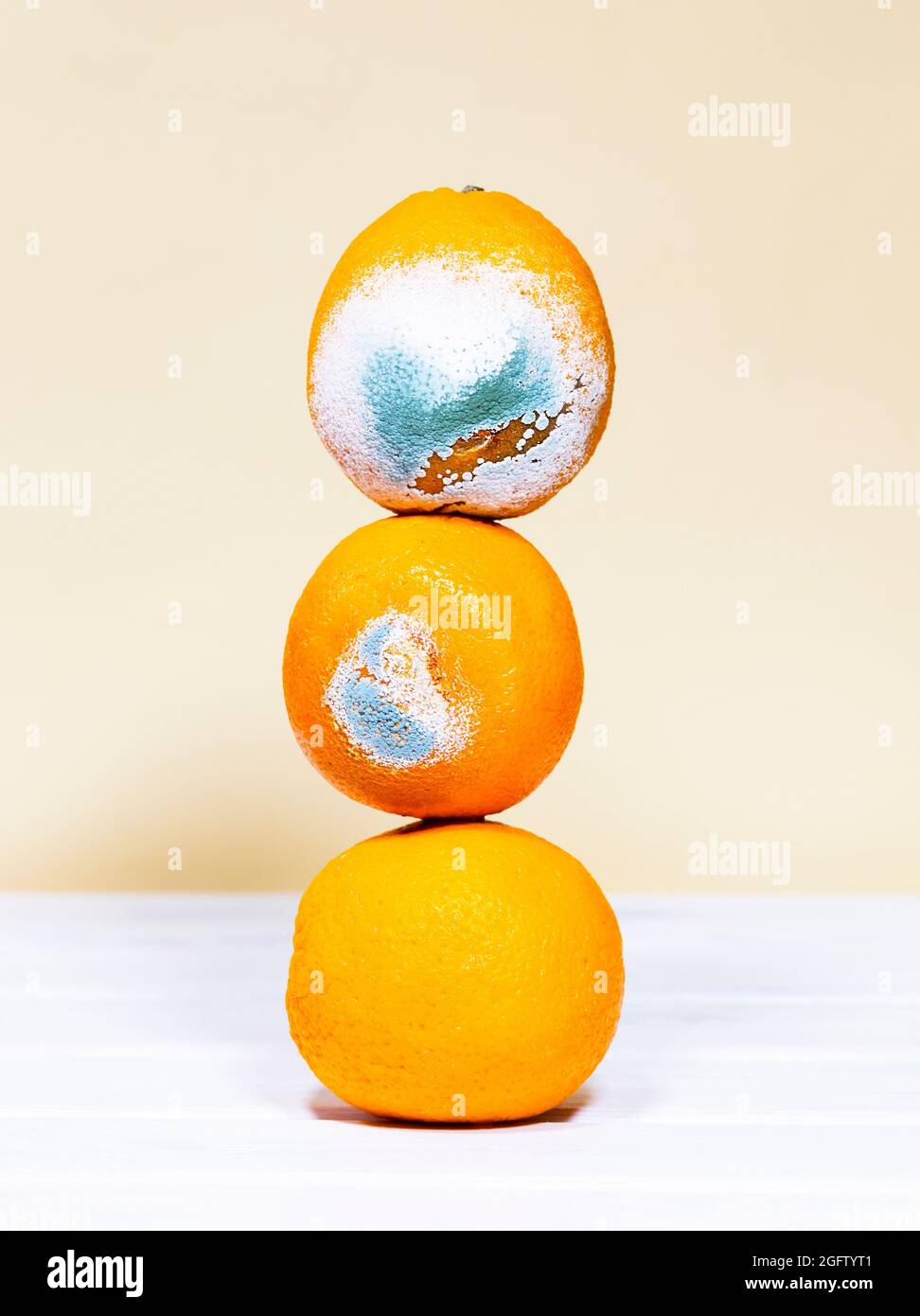 Rotten Moldy Orange. A photo of the growing mold. Spoiled fruit. Meal ...