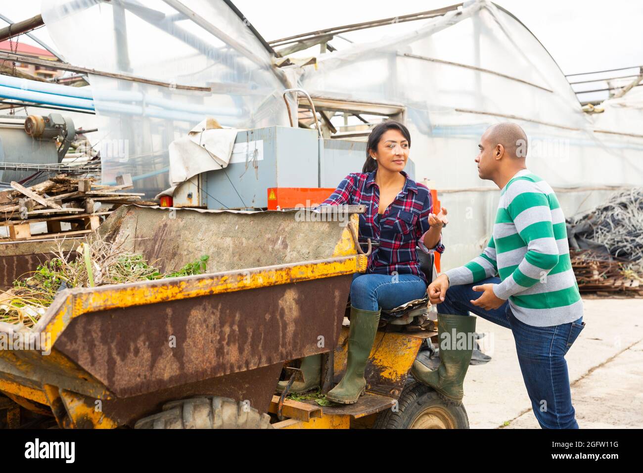 Latin american woman farmer driving a mini dump truck, communicates ...