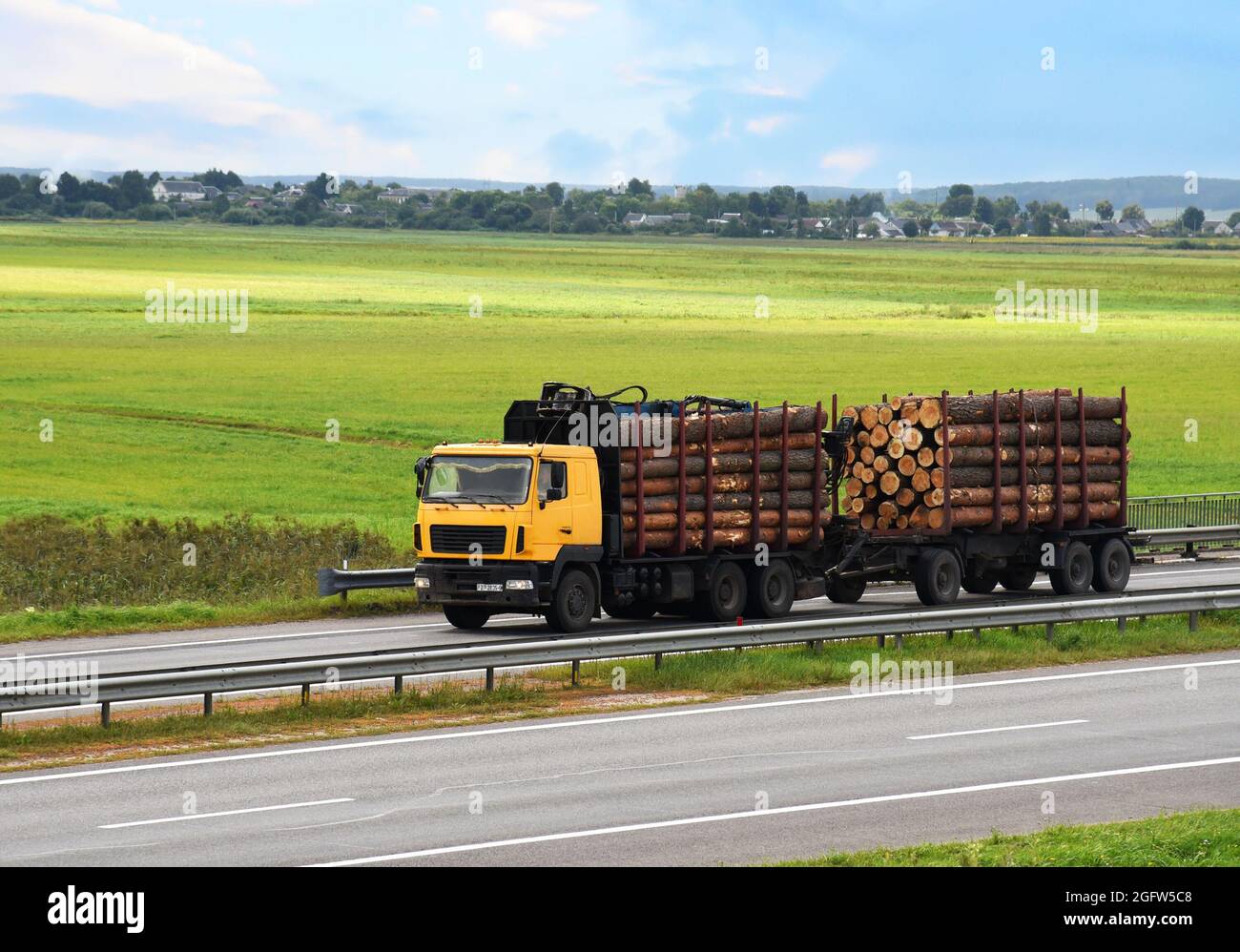 Timber truck transporting cut trees from forest along highway ...